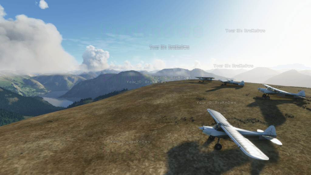 August 6th, 2020 Development Update - Microsoft Flight Simulator