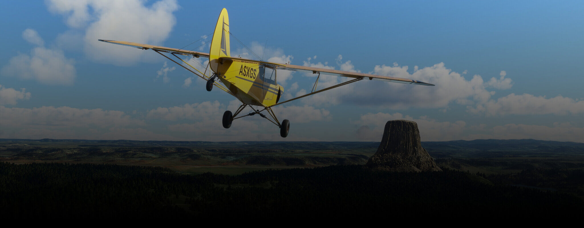 Standard Operating Procedures - Microsoft Flight Simulator