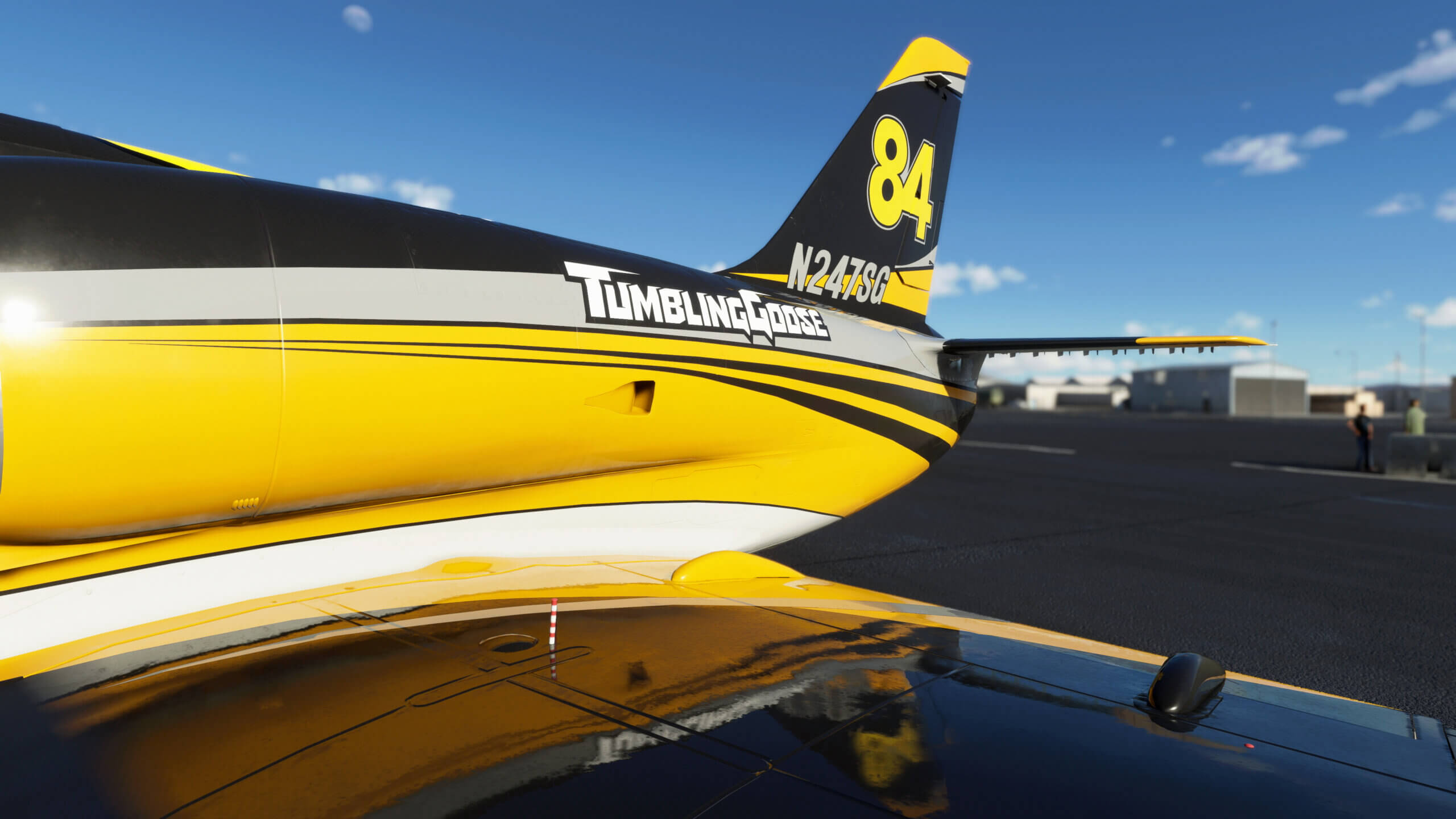 TumblingGoose1 – Microsoft Flight Simulator