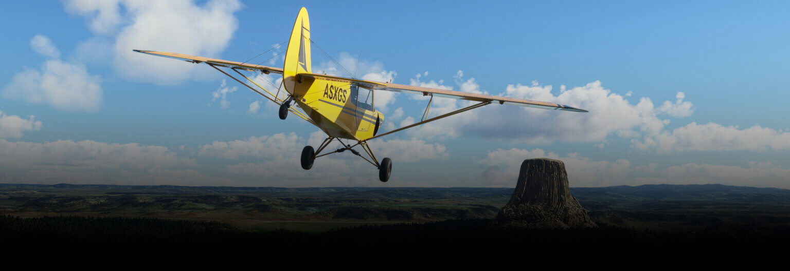Feedback Snapshot - Microsoft Flight Simulator