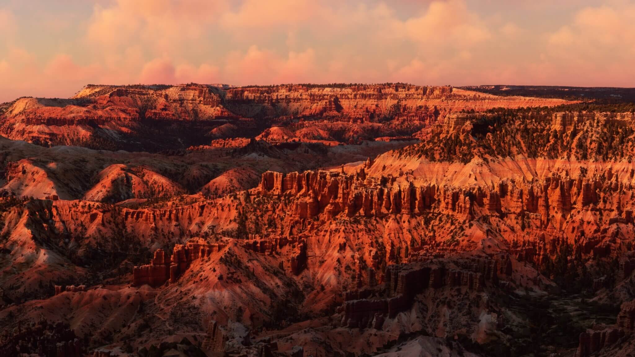 Release Notes (1.25.9.0) Sim Update 9 Patch Now Available! - Microsoft ...