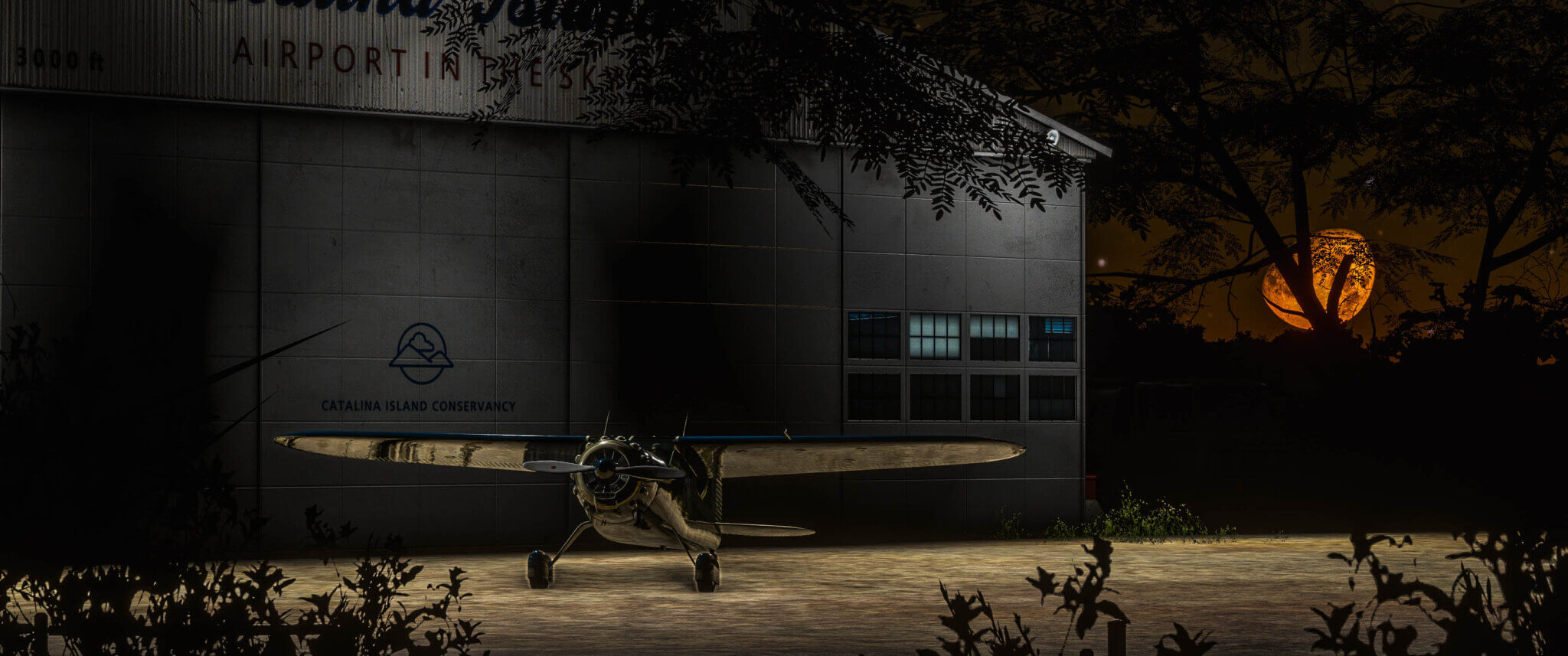 August 31st, 2023 Development Update - Microsoft Flight Simulator