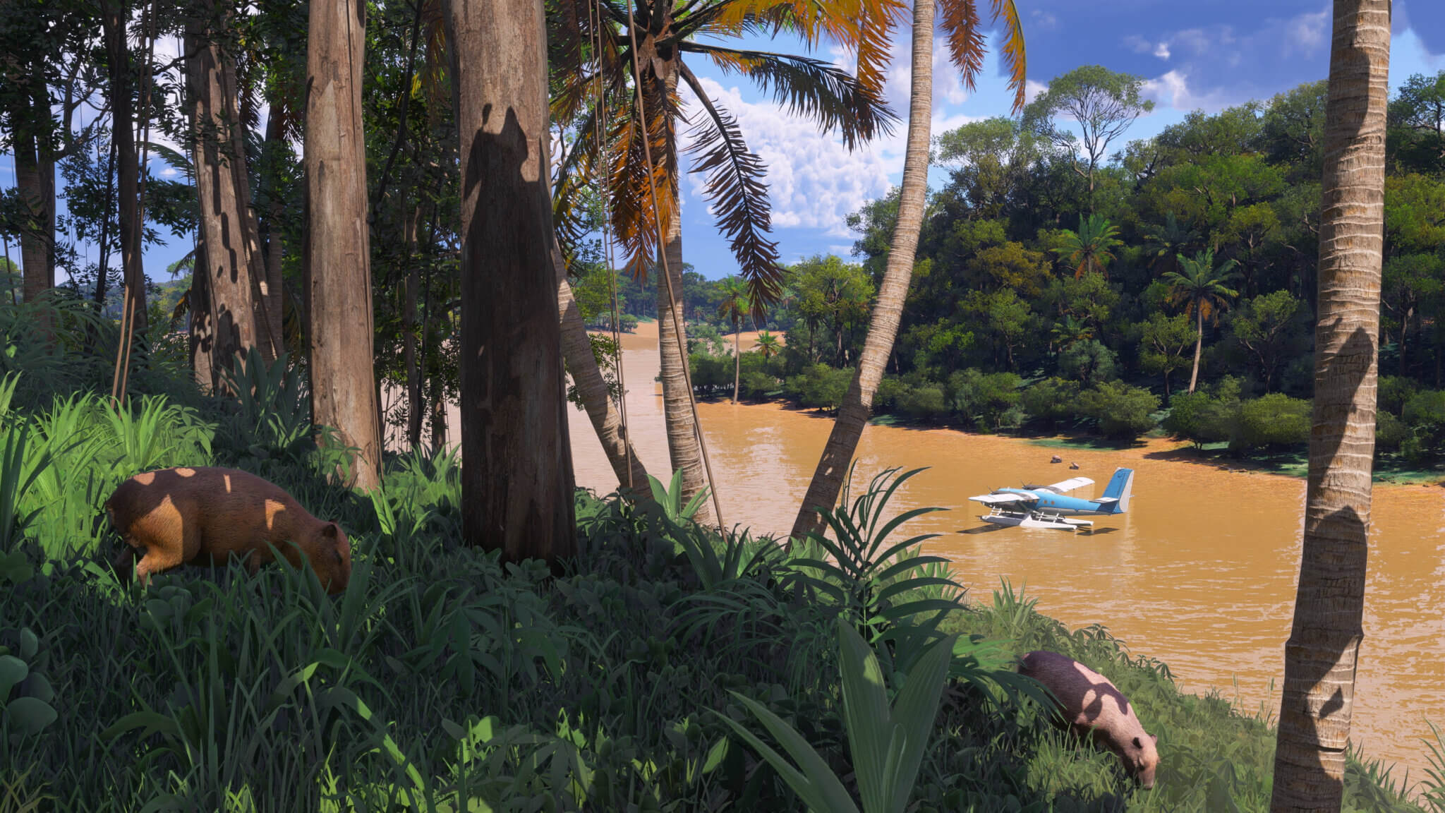Microsoft Flight Simulator Releases World Update XIX: Brazil, Guyana ...